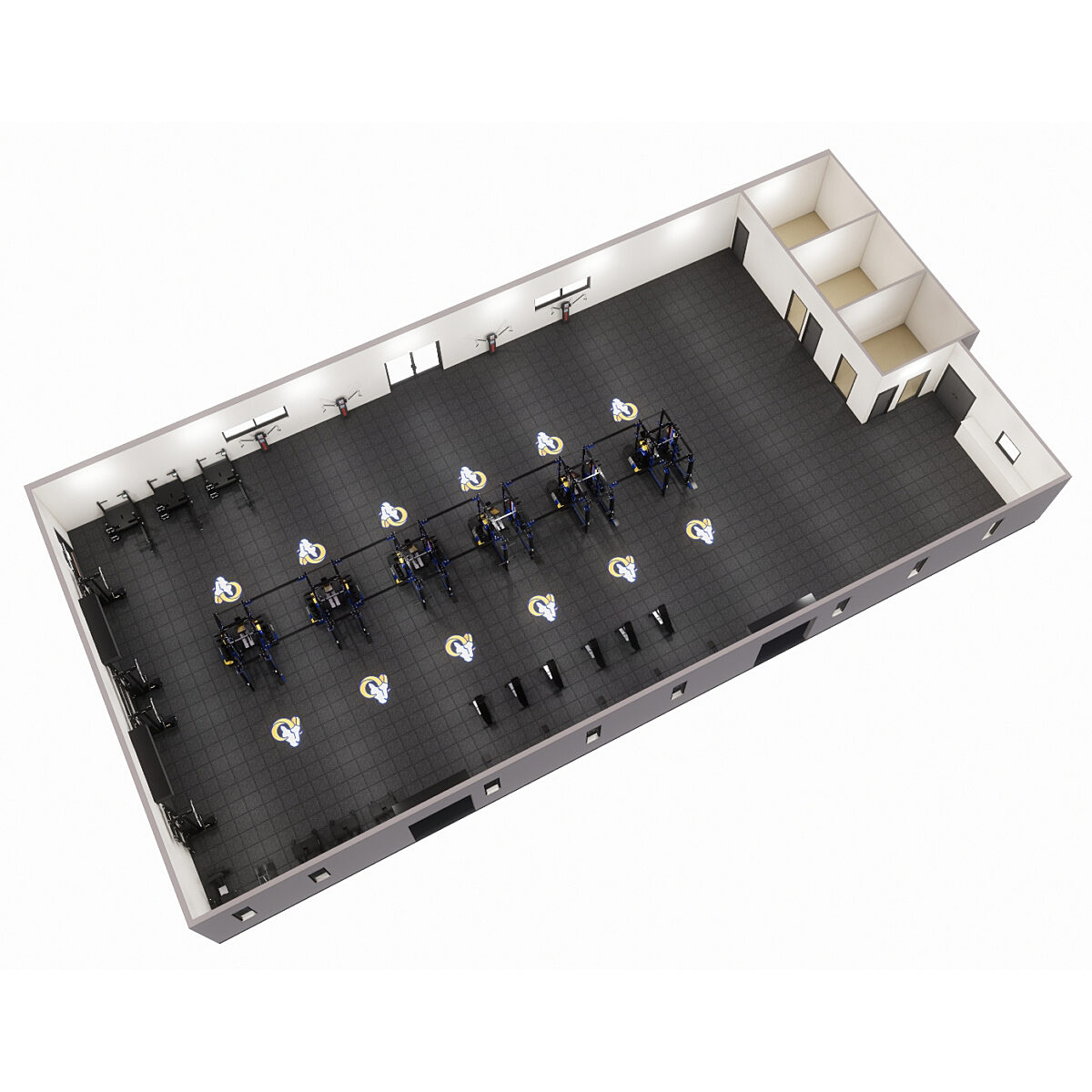 Professional | Sorinex Exercise Equipment